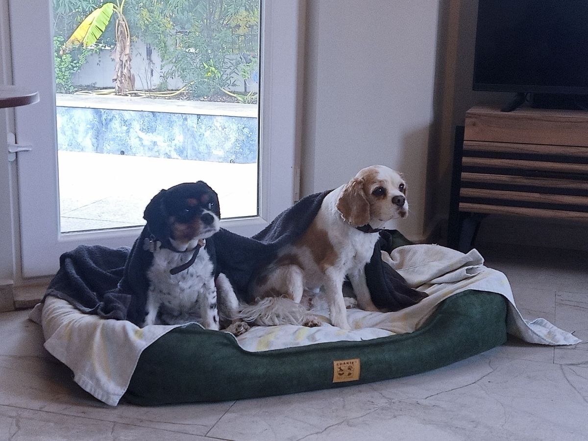 Dalyan – 7th & 8th December – joloyolo